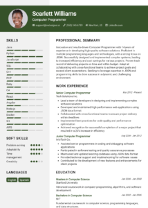 12 Programmer Resume Examples for 2024: Downloadable Templates ...