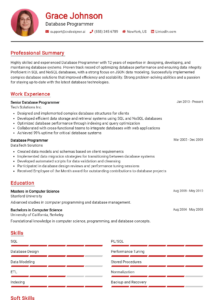12 Programmer Resume Examples for 2024: Downloadable Templates ...