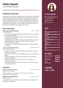 15 Full Stack Engineer Developer CV Examples for 2024: Free ...